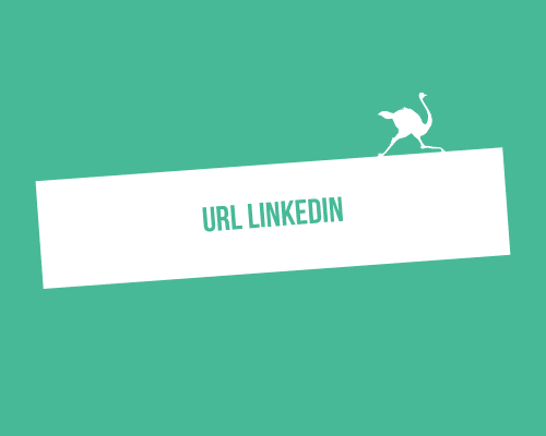 URL LinkedIn How Do I Find My LinkedIn Url Tutorial 