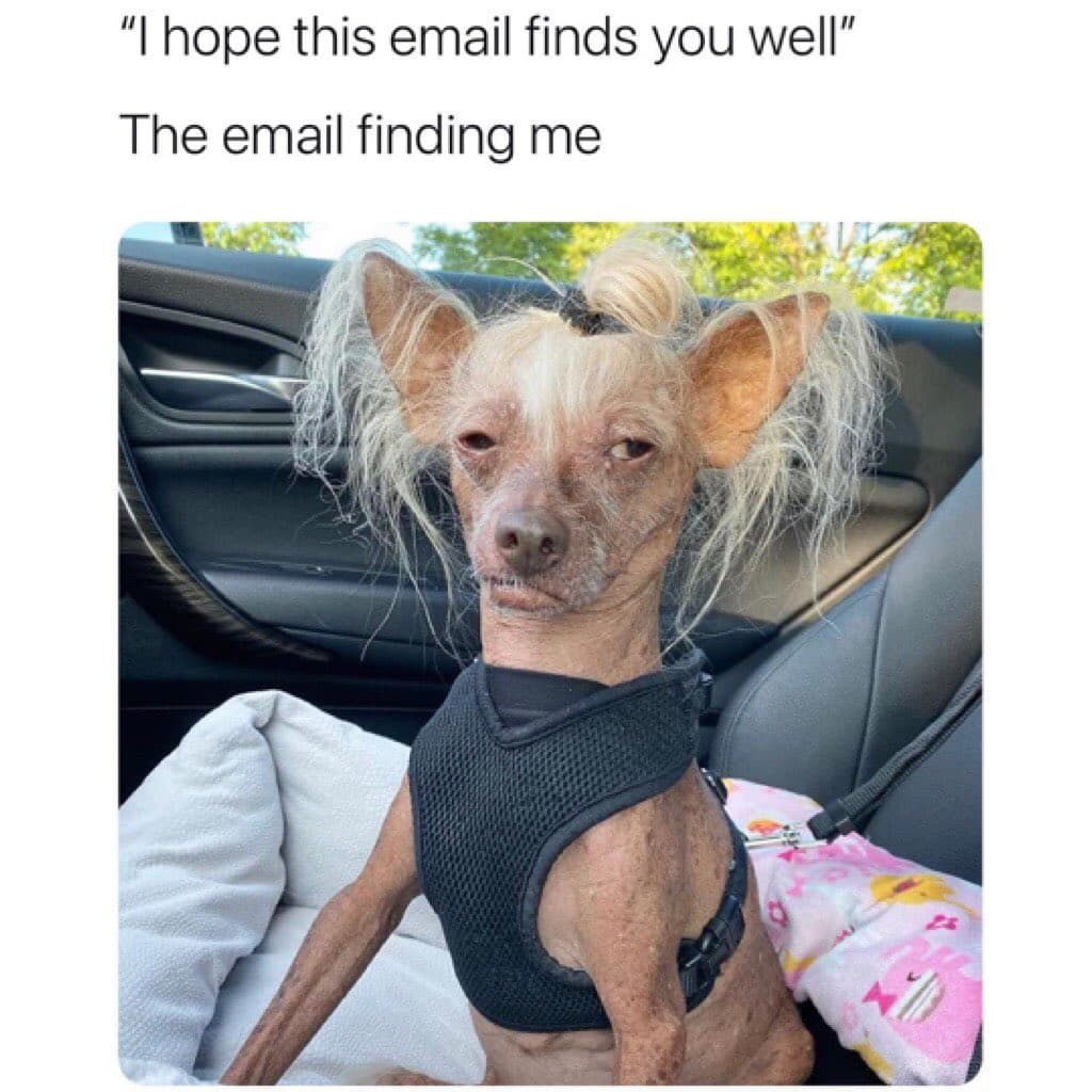 Comment commencer un mail ? 5 Exemples pour chaque occasion