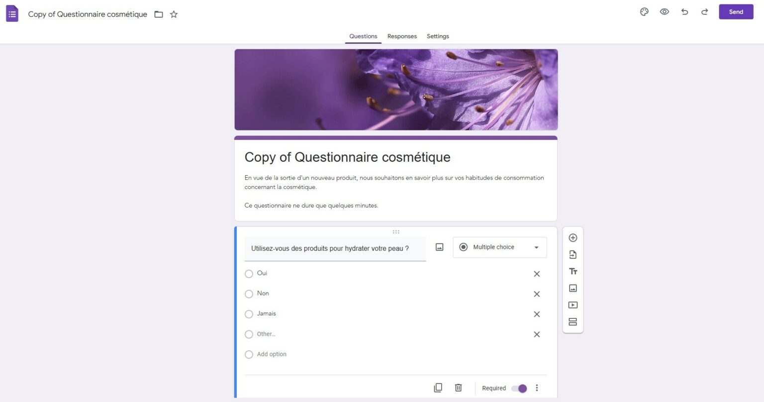 Market Research Questionnaire: 8 Free Examples 2025