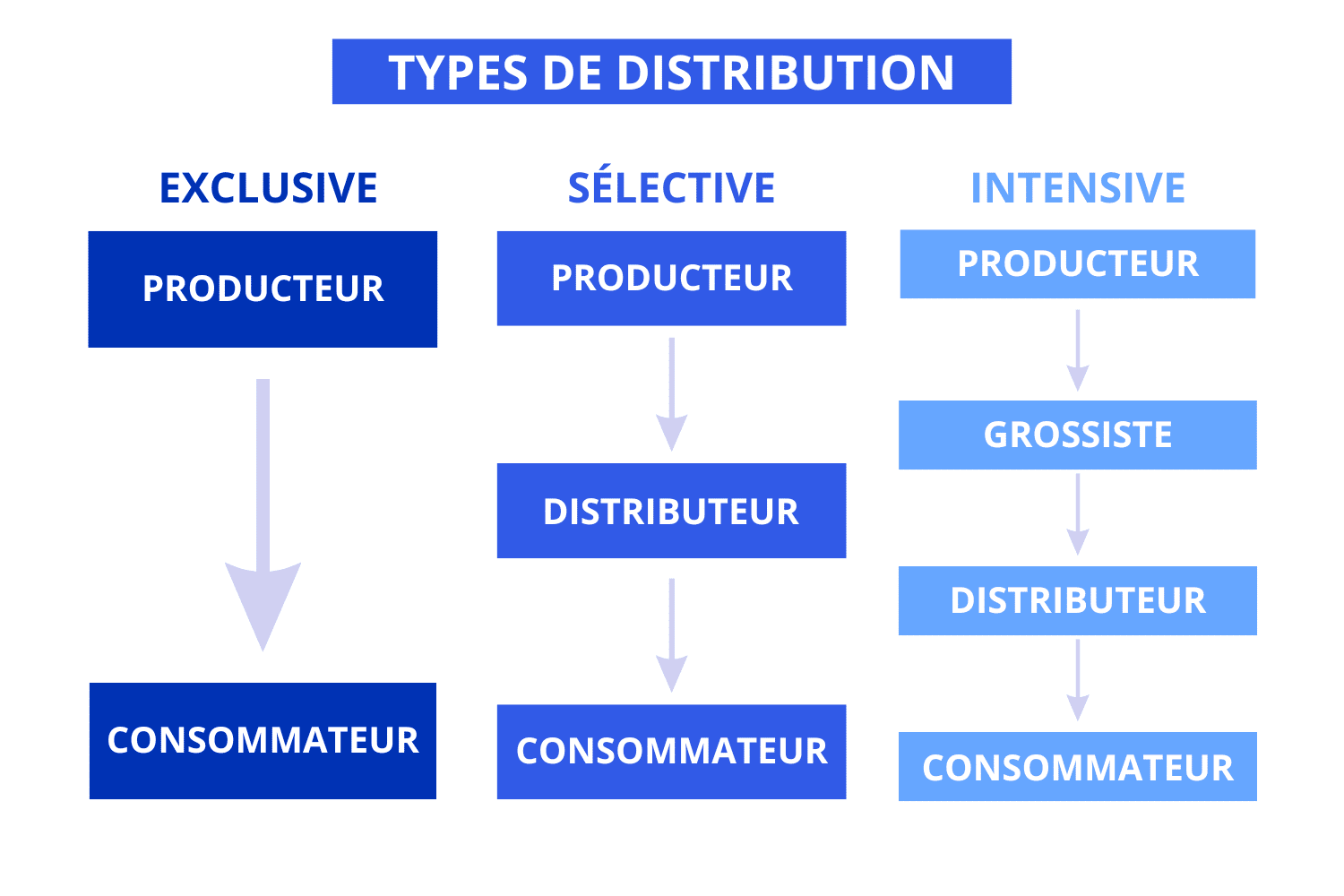 Distribution sélective : Comment ça fonctionne ? 2025 Distribution sélective : Comment ça fonctionne ? 2025