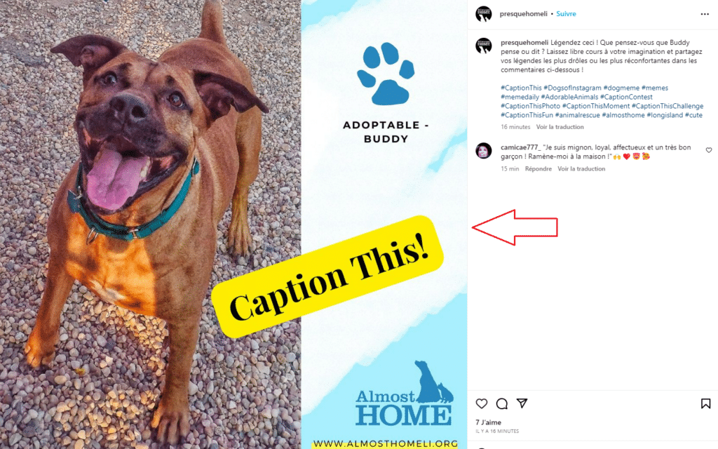 Jeu concours Instagram : 15 idées pour booster votre marque 2025