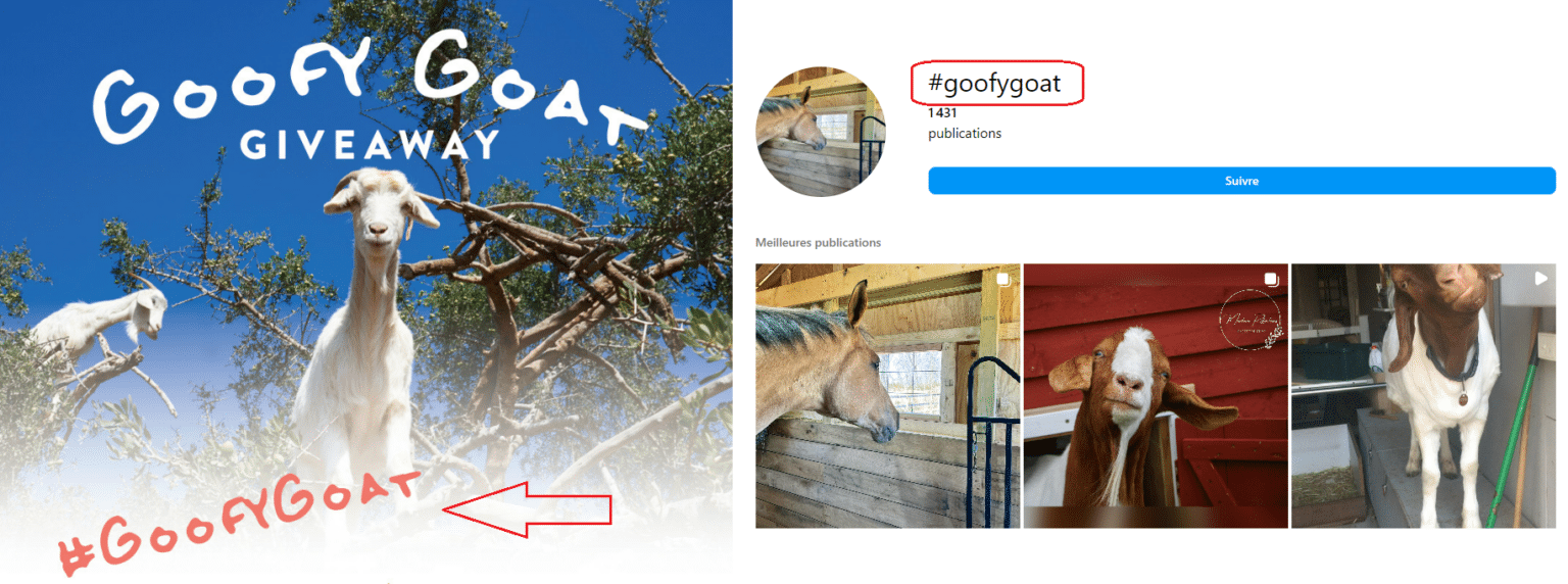 Jeu concours Instagram : 15 idées pour booster votre marque 2026